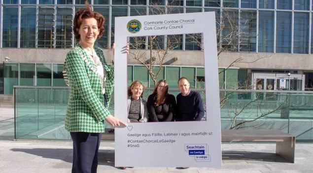 Cork County Council’s Library Service Seek Artists and Writers to ...