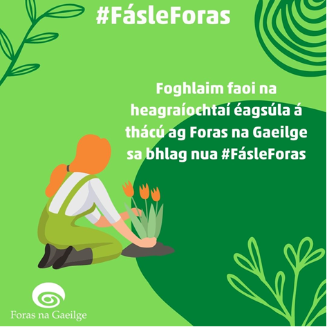 Gaeilge.ie - Gateway to the Irish language