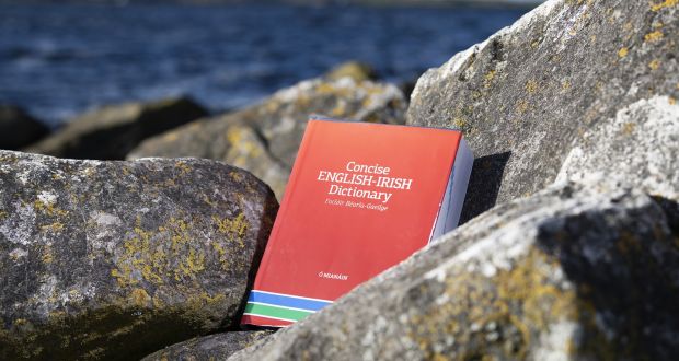 foclóir - Gaeilge Portal