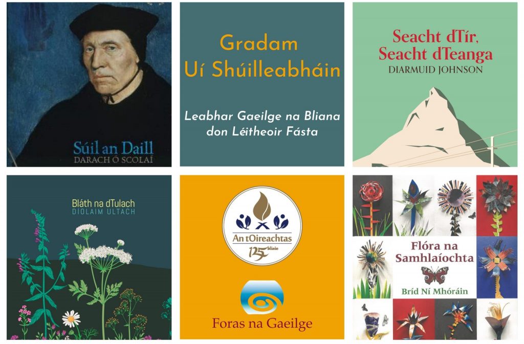 Gearrliostaí do Leabhair Ghaeilge na Bliana 2022 Fógartha - Gaeilge Portal